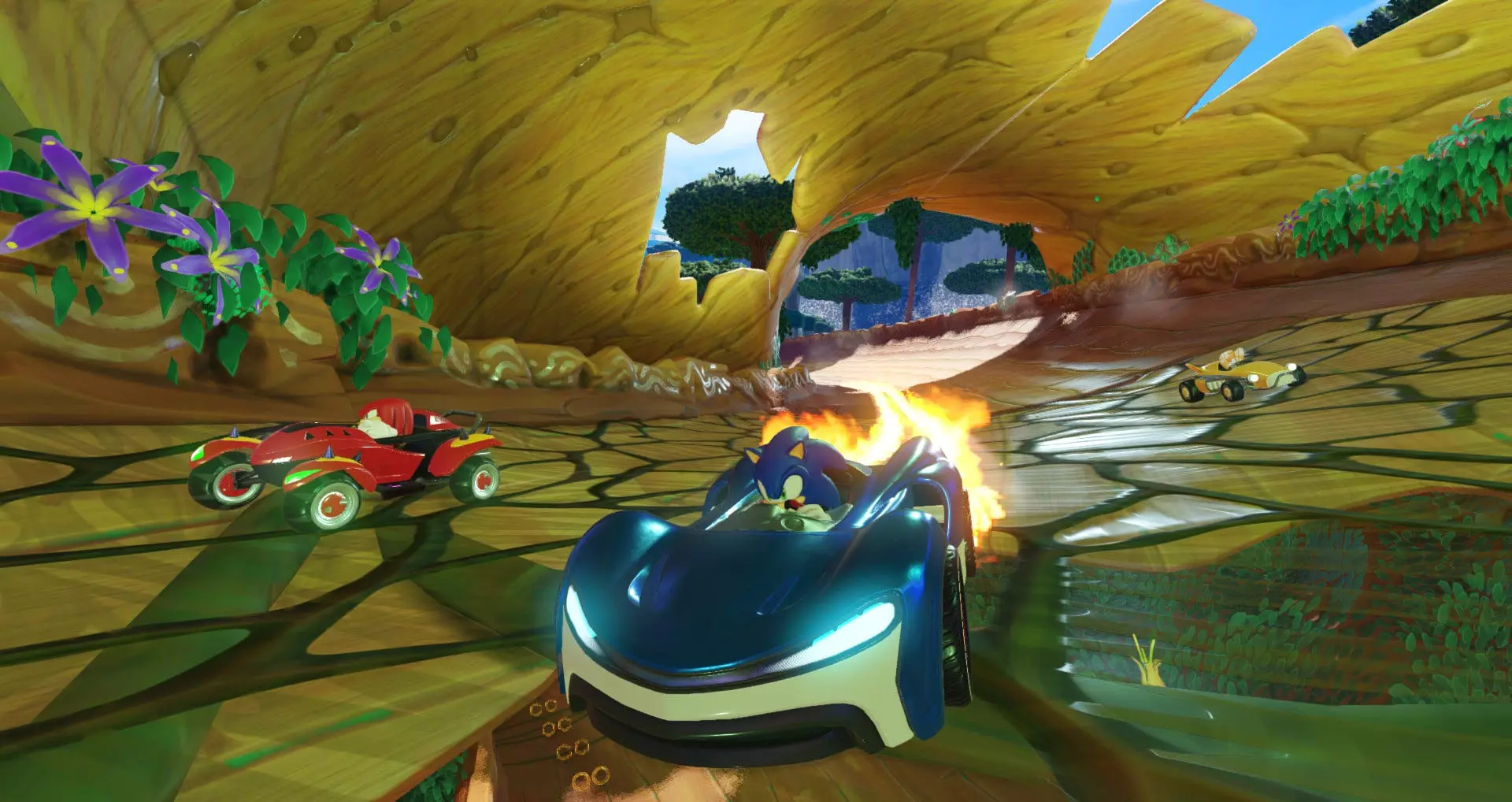 Team Sonic Racing mynd