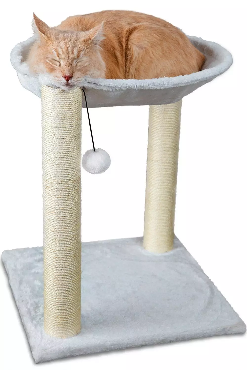 Ang 6 ka Pinakamaayo nga Cat Bed Para sa Imong Iring Higala 10044_3