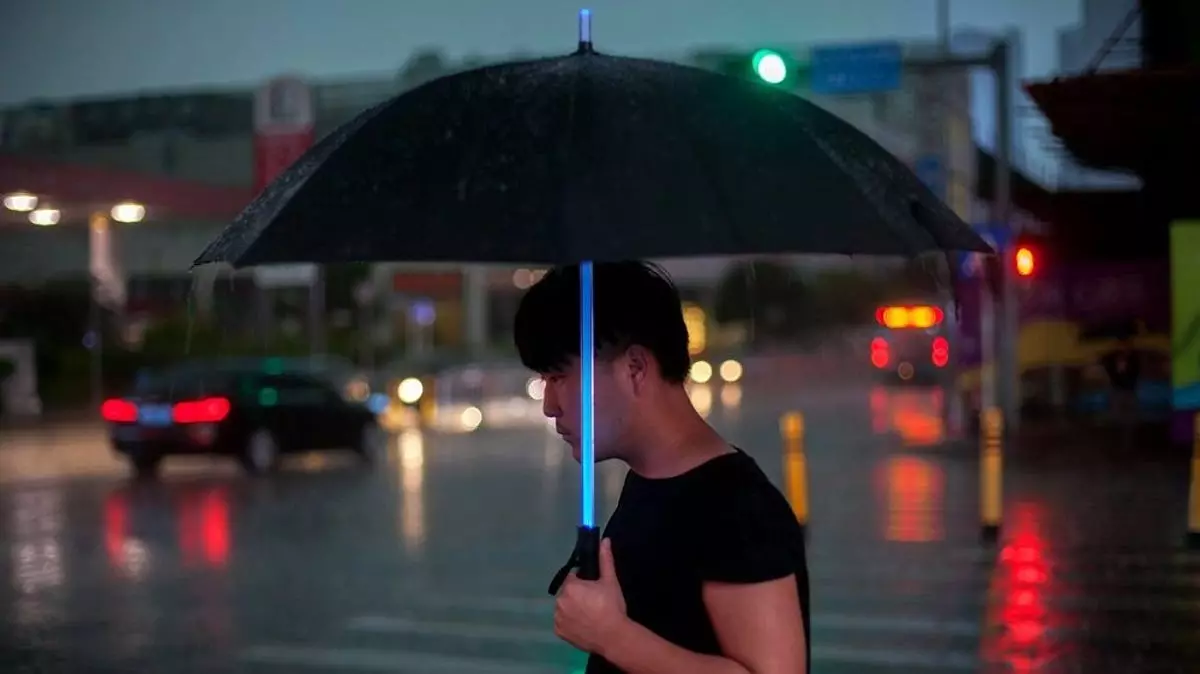 10 款最適合您的雨傘——風雨無阻 10090_1