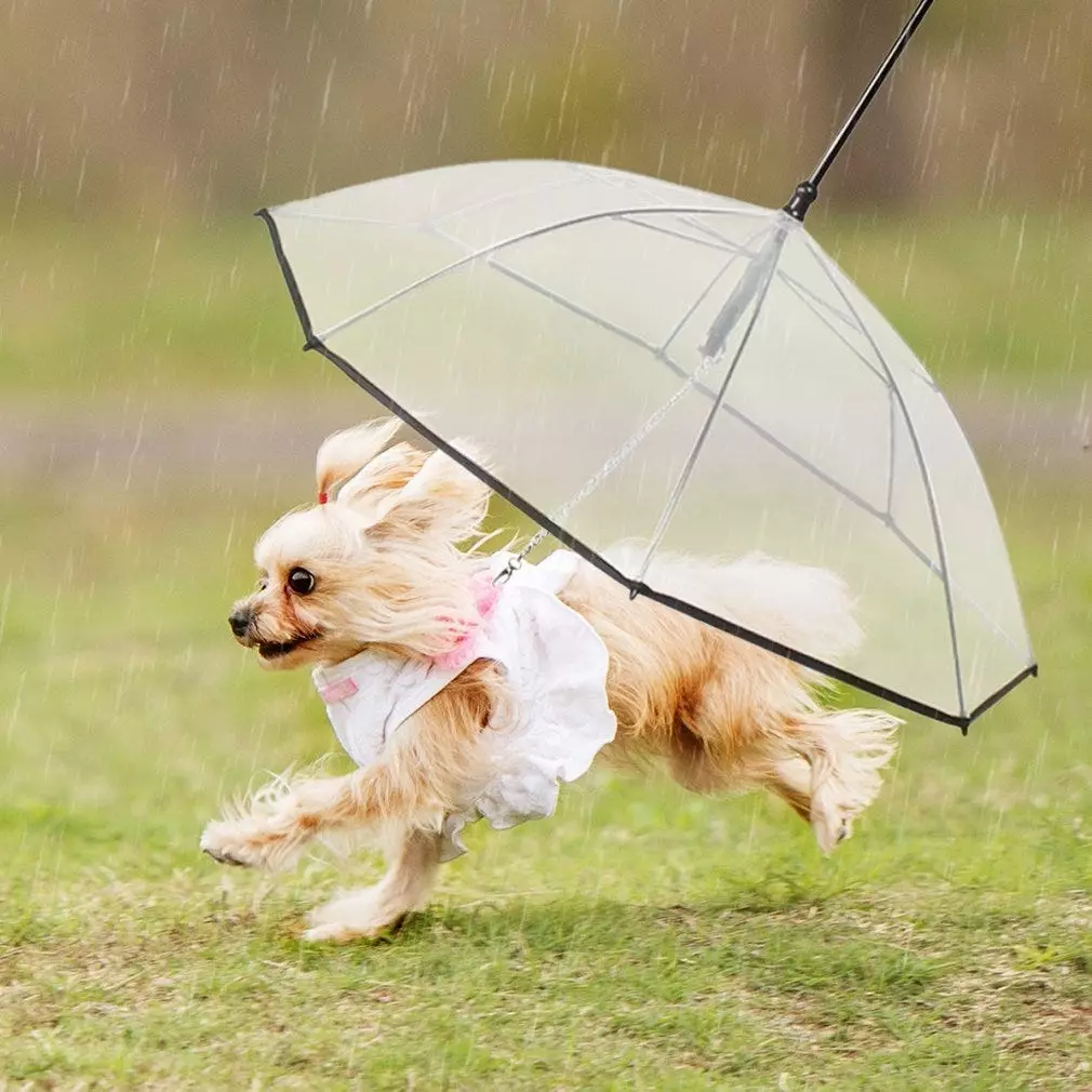 10 Payung Terbaik yang Akan Membuat Anda Tertutup—Hujan atau Cerah 10090_11