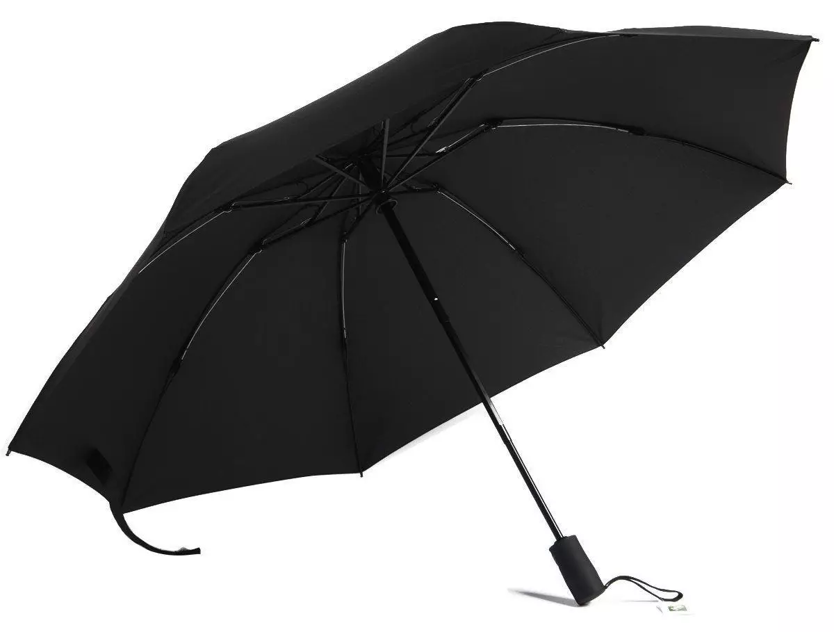 Los 10 mejores paraguas que te cubrirán, llueva o truene 10090_2