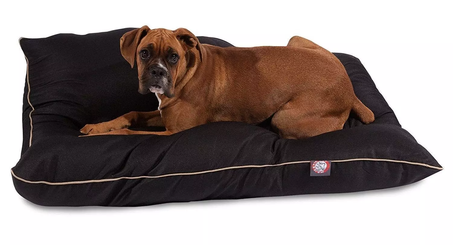 6 loại giường cho chó tốt nhất dành cho chó thuộc mọi kích cỡ 10091_2