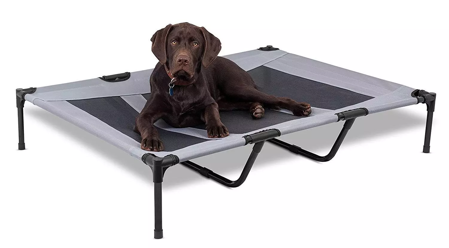 あらゆるサイズの犬に最適な6つの犬用ベッド 10091_3