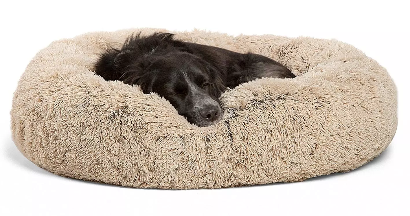 Τα 6 καλύτερα κρεβάτια σκυλιών για σκύλους όλων των μεγεθών 10091_4