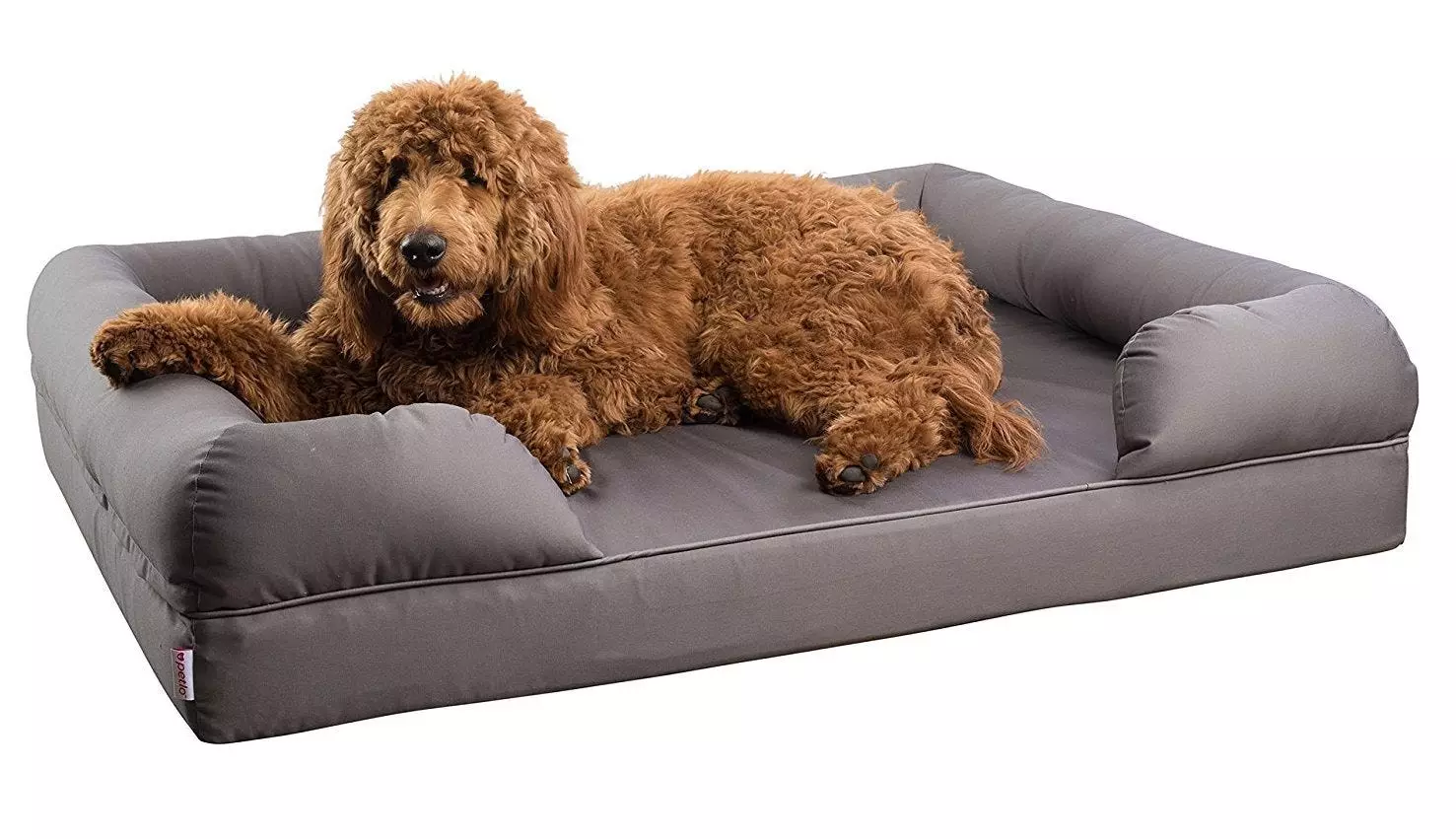 6-те най-добри легла за кучета от всякакъв размер 10091_5