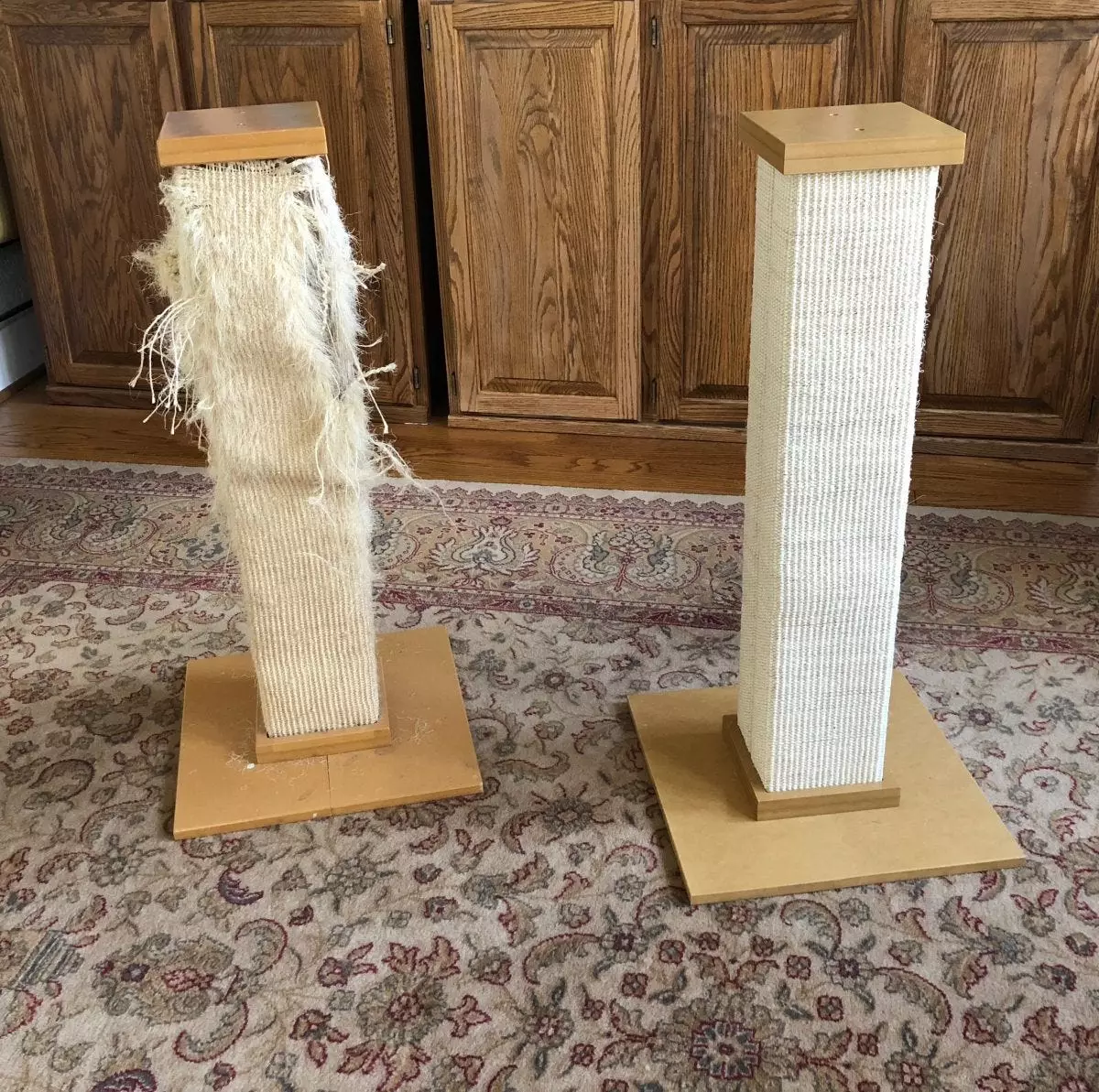 SmartCat Ultimate Scratching Post Review：这是你买过的最好的 Scratching Post 10170_2