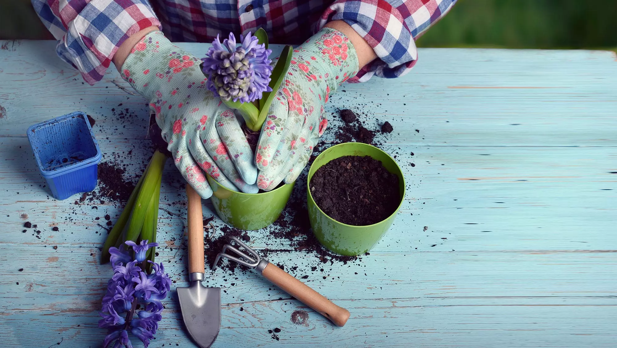 6 upeaa puutarhanhoitolaitetta parantamaan puutarhanhoitokokemustasi