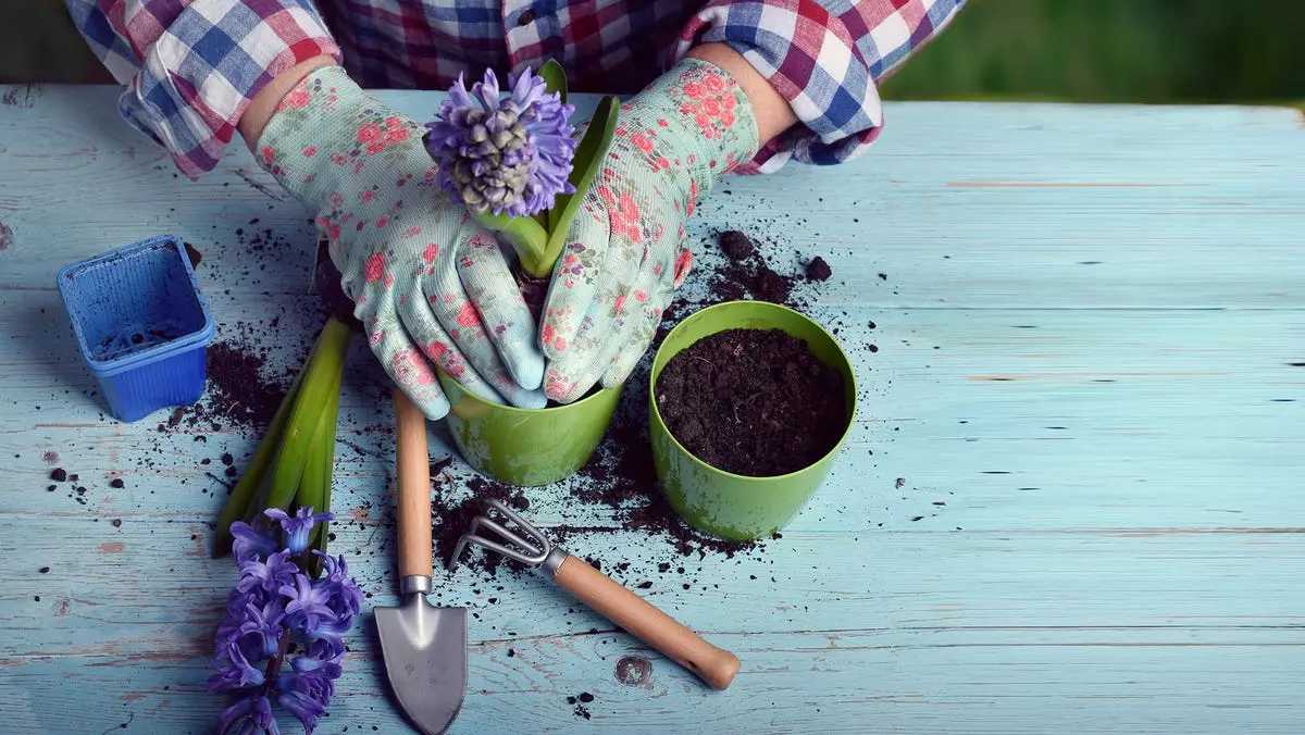 6 excelentes artilugios de jardinería para mejorar su experiencia de jardinería 10189_1