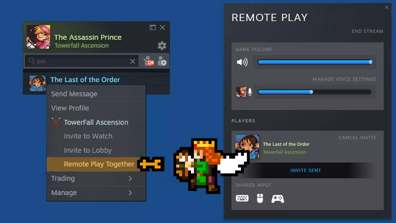 Steam Remote Play Together In-Action-ում