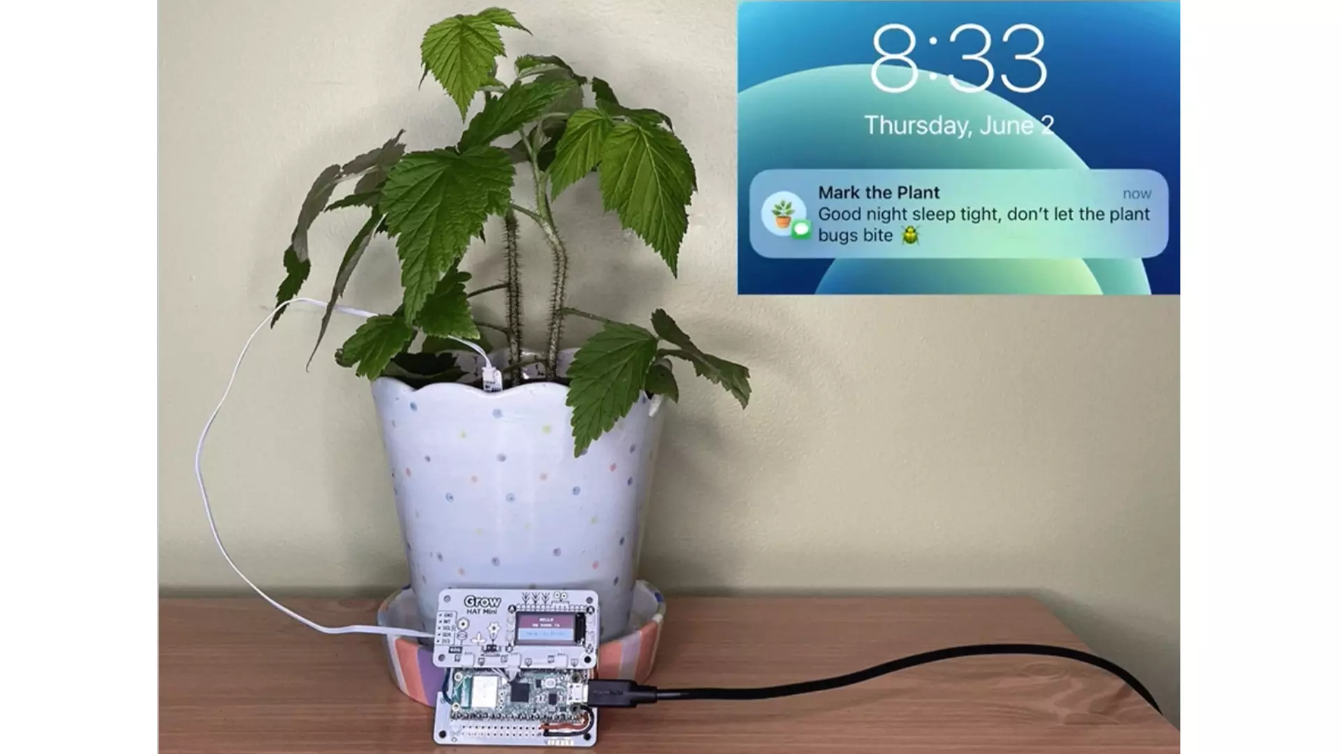 Krukväxter blir beroende av sms med Raspberry Pi Pico W