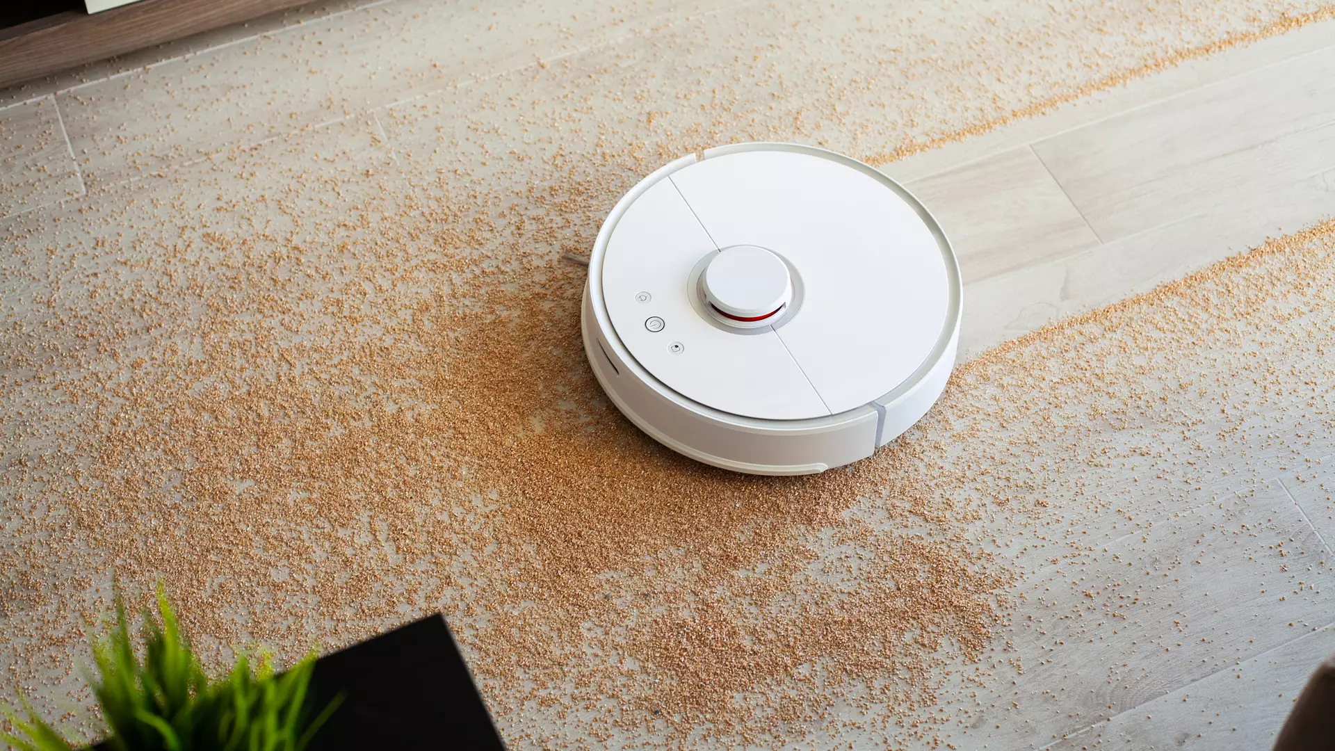 Robotdammsugare utför automatisk rengöring av lägenheten vid en viss tidpunkt. Smart hem.