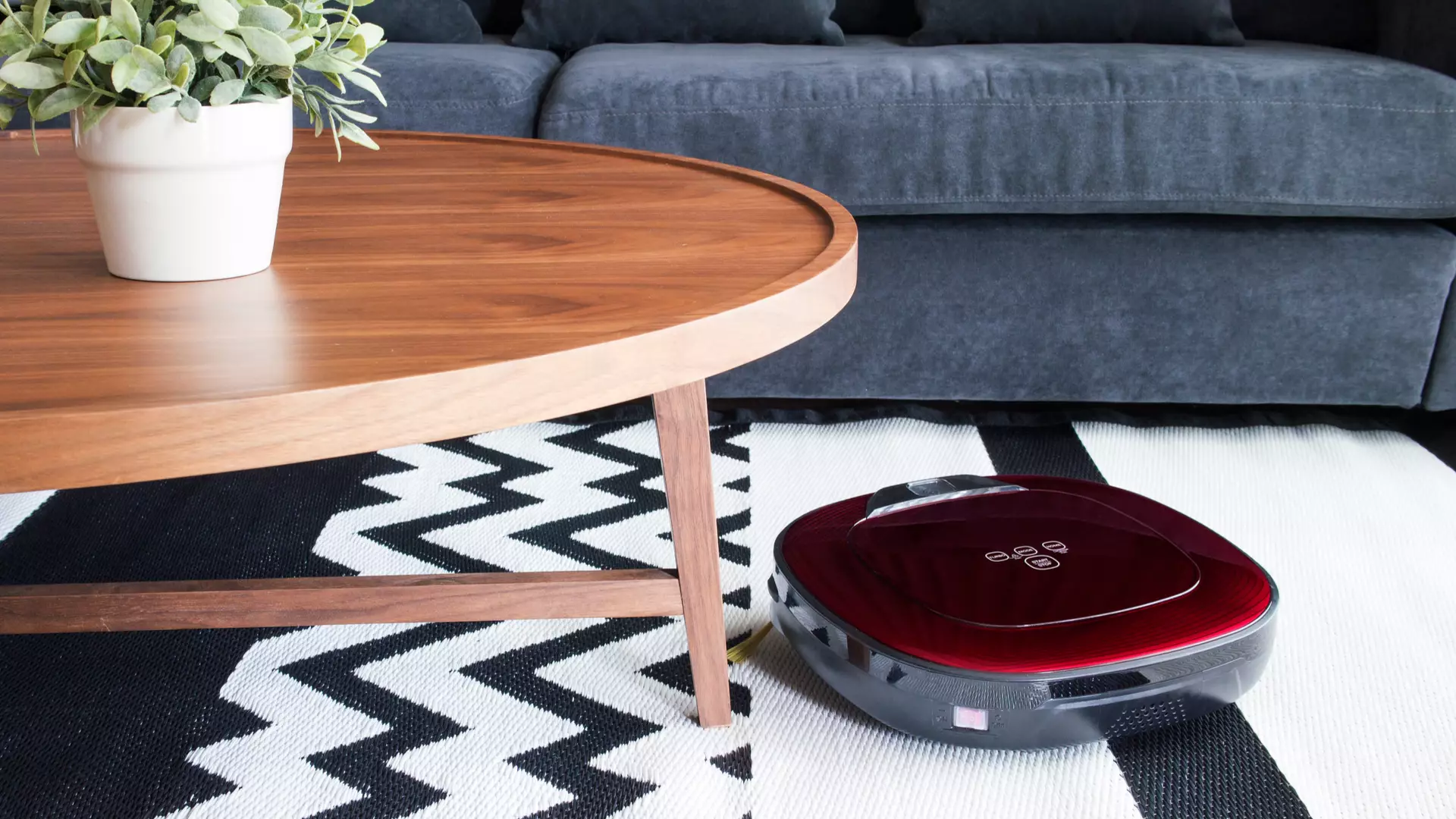 Penyedot debu robot di atas karpet di ruang tamu yang nyaman dengan sofa biru tua dan meja kayu