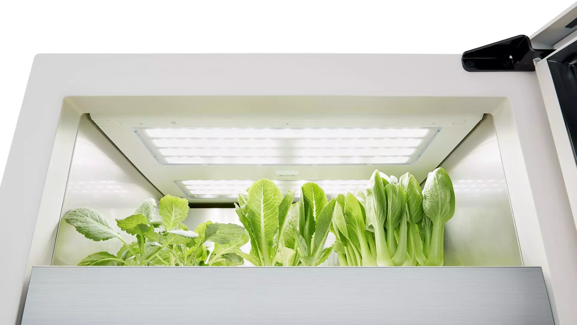 Садовые светильники для внутреннего освещения LG Tiiun