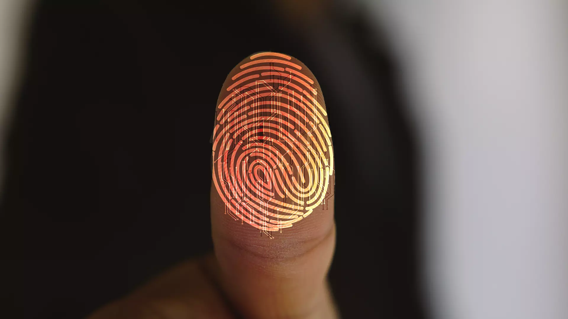 Un lettore di impronte digitali che scansiona un dito.