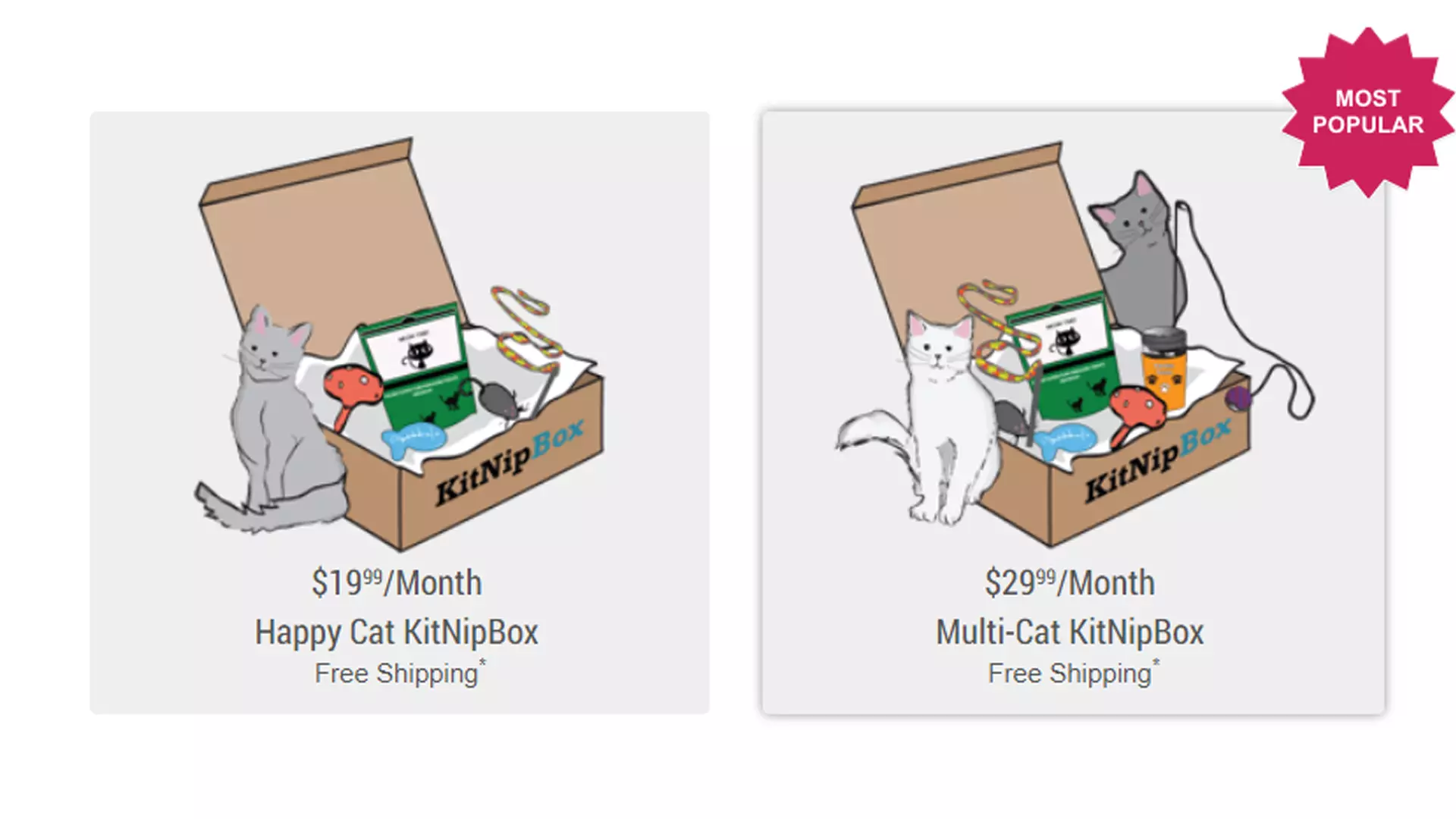 Лучшие коробки подписки для владельцев кошек 1196_3