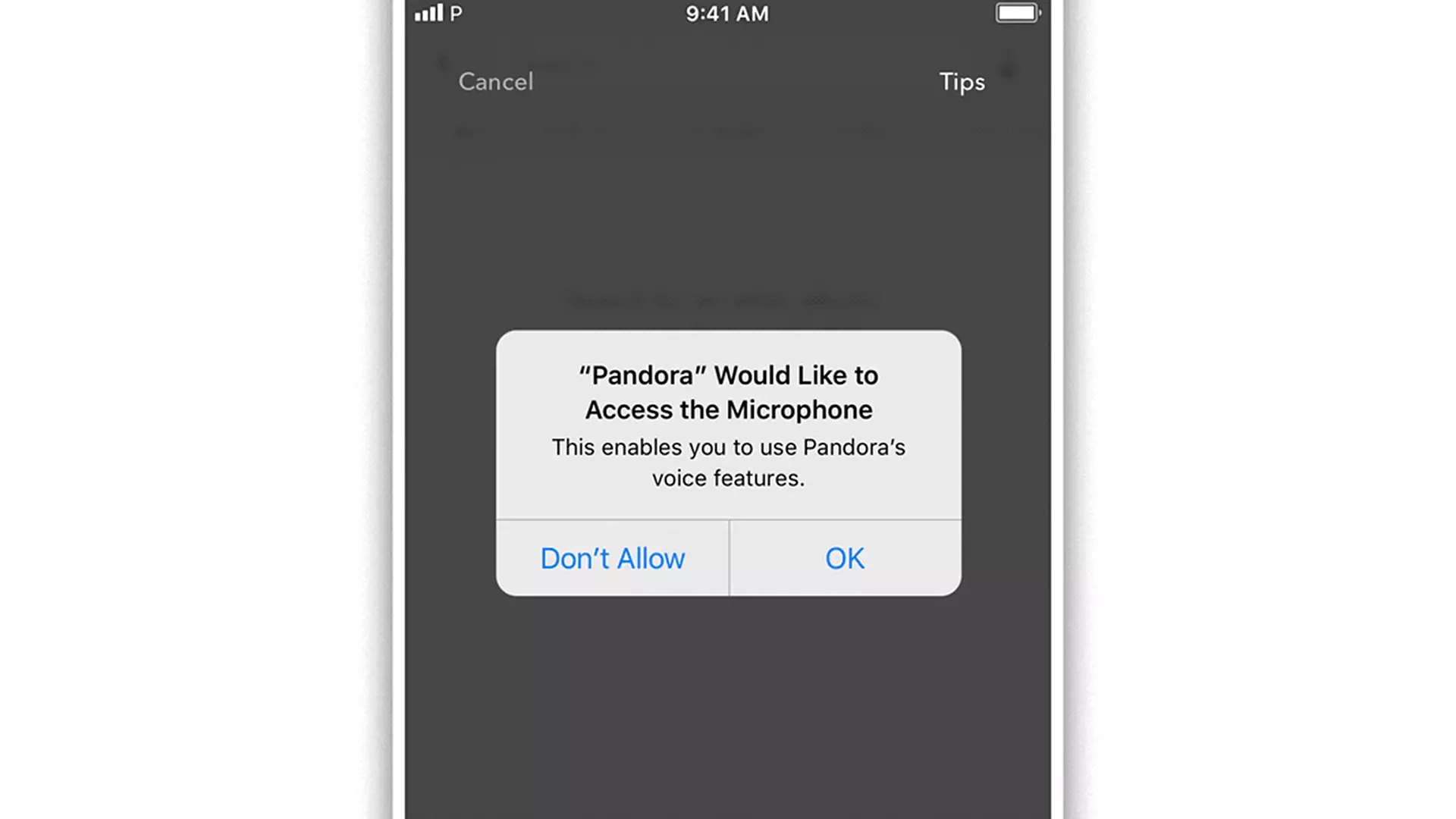 Heeltemal cool: Pandora wil hê jy moet met sy interaktiewe advertensies praat!