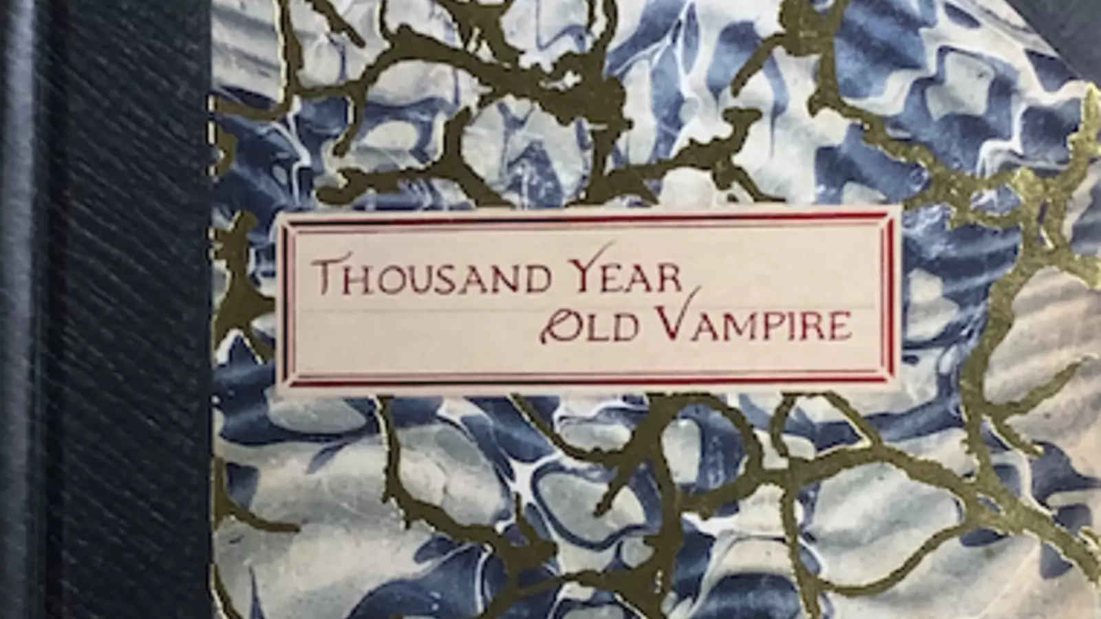 Kirja, joka sisältää Thousand Year Old Vampire -roolipelin