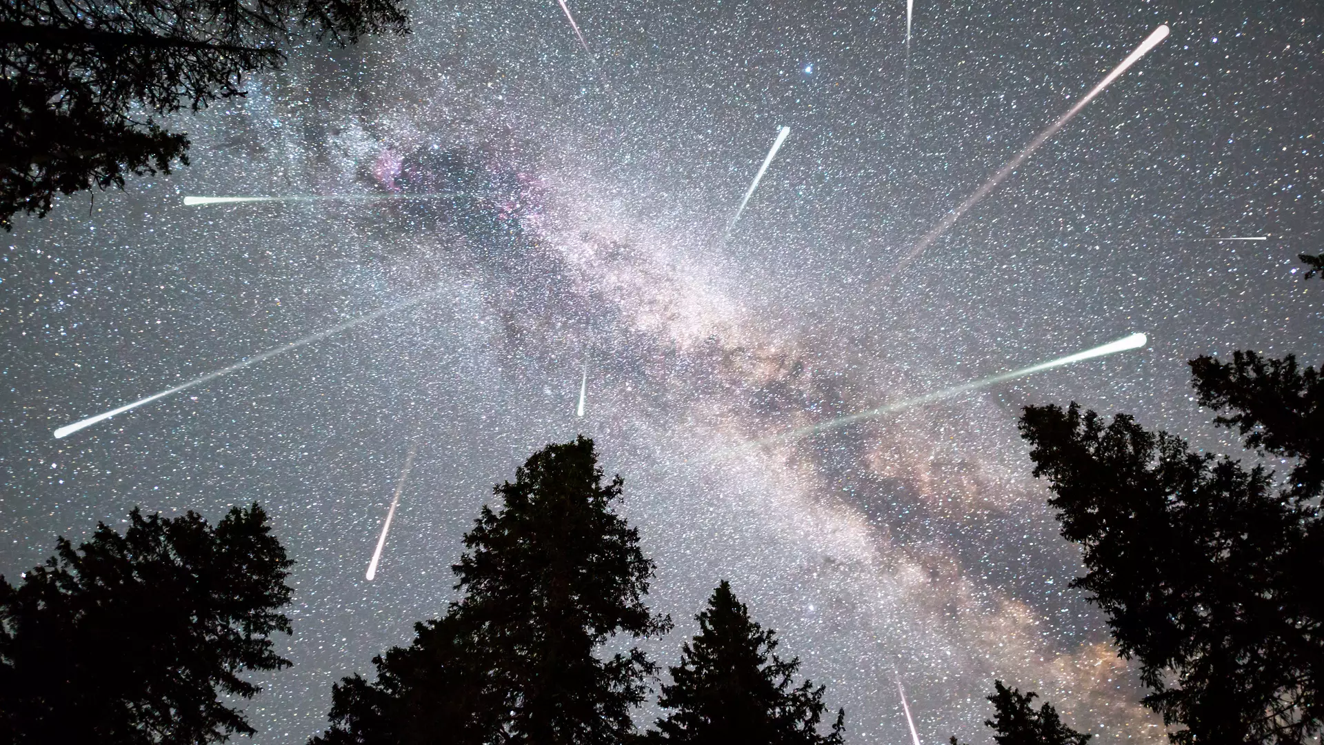 Näkymä meteorisuihkusta ja Linnunradasta mäntymetsän siluetilla etualalla. Yötaivas luonto kesämaisema.