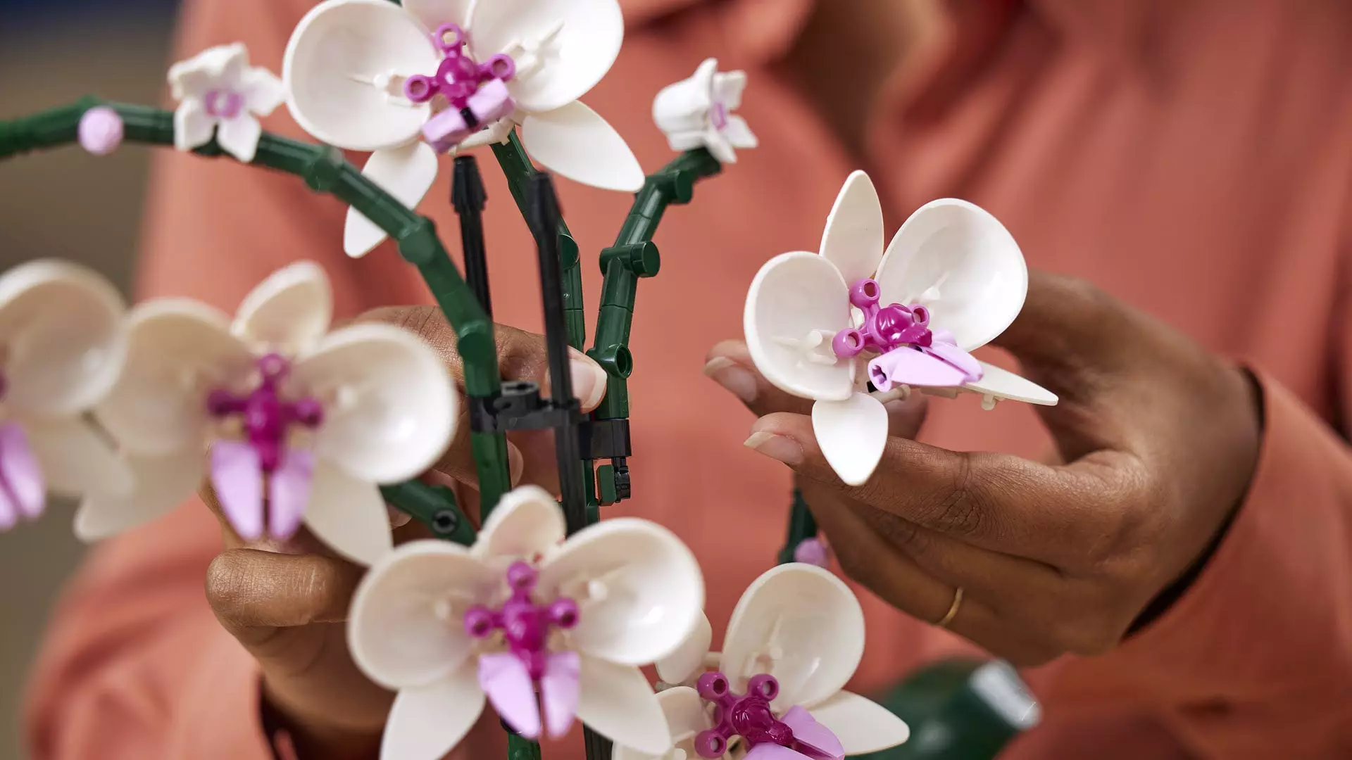 Xiritaanka orchid LEGO