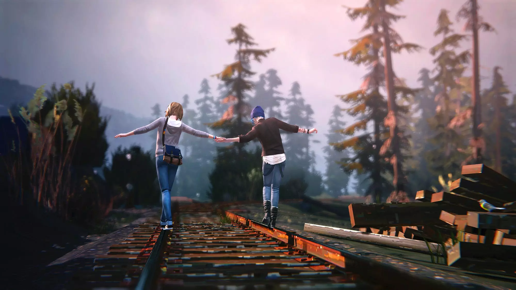 Max 和 Chloe 手牵着手，沿着乡村铁轨行走。