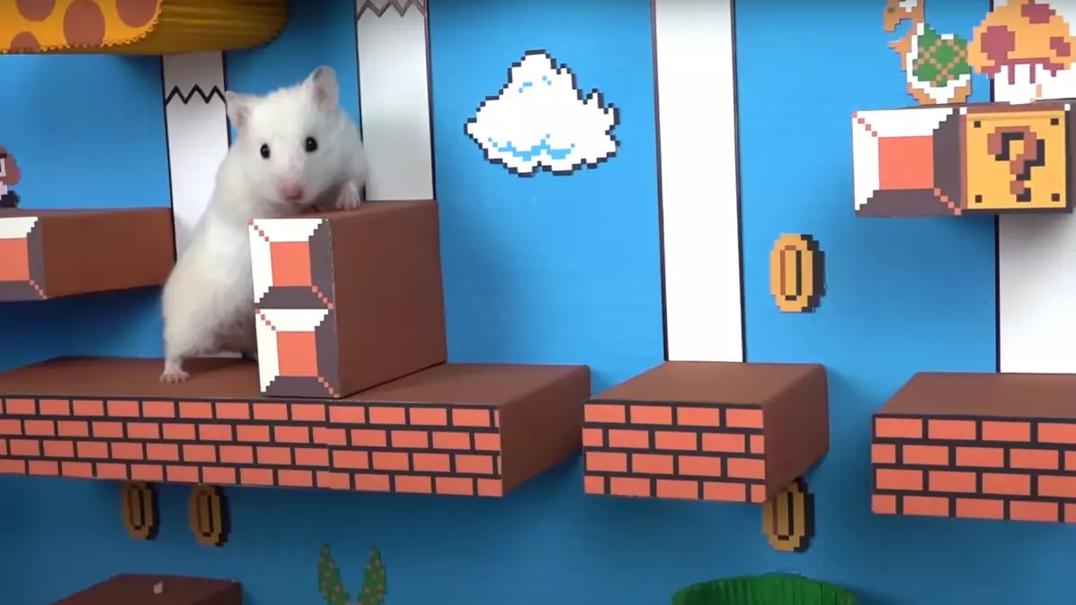 Marshmallow der Hamster in einem „Super Mario“-Labyrinth.