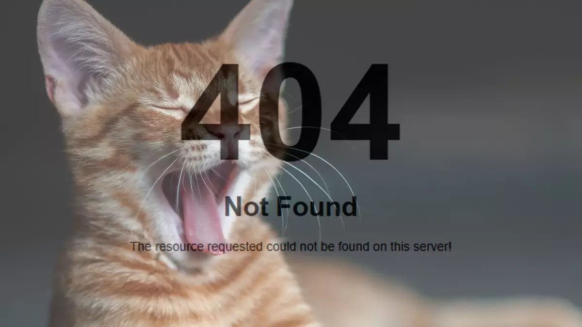 Yon ti chat anvi dòmi ak yon erè 404 sou tèt li.