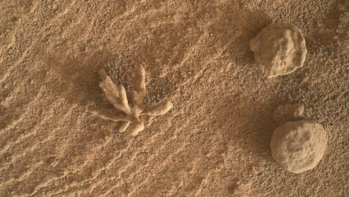 Mineraallill jäädvustas fotole minu Curiosity kulgur