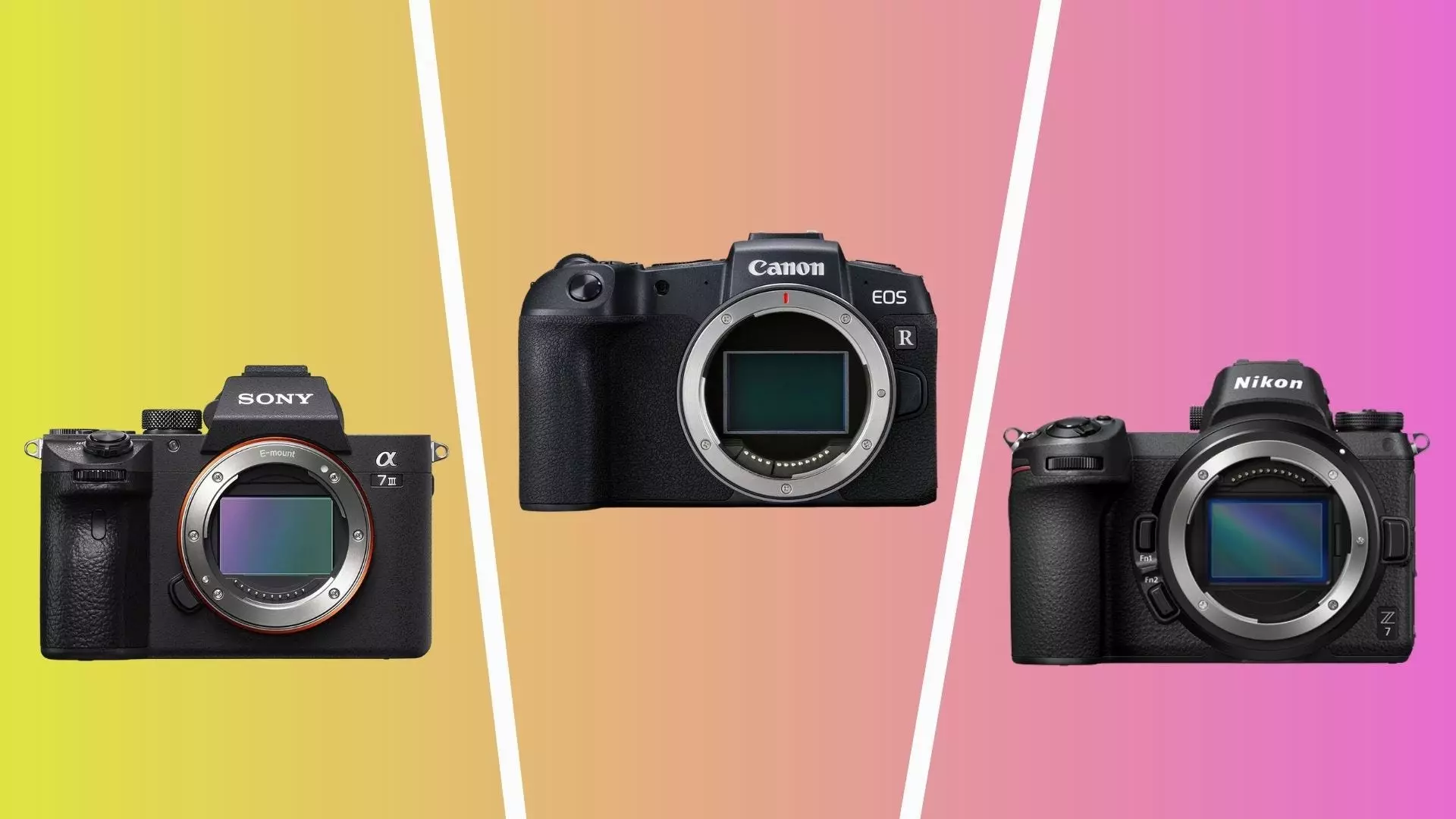As 6 melhores câmeras sem espelho para fotógrafos iniciantes