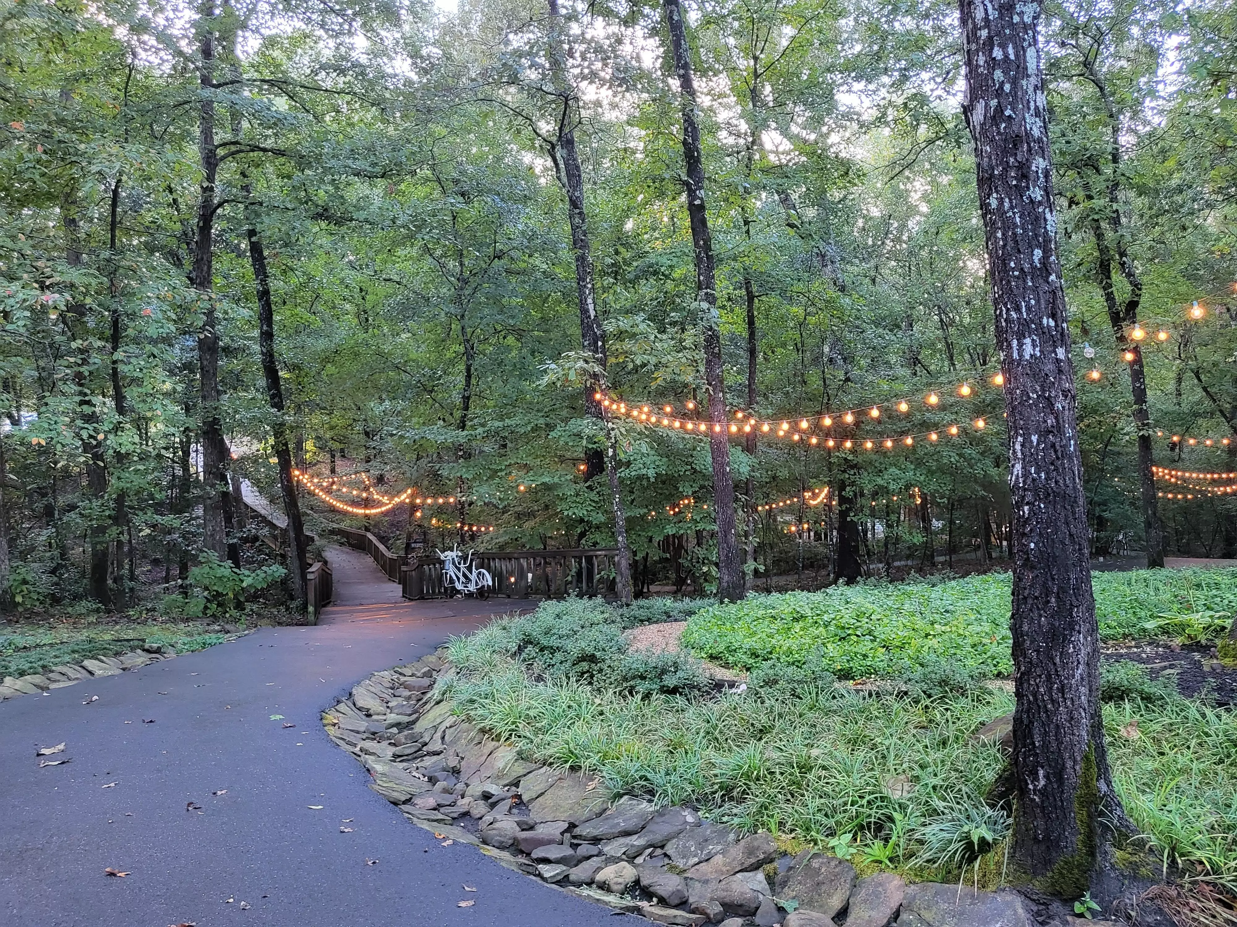 Een loopbrug in het bos, overal lichtslingers