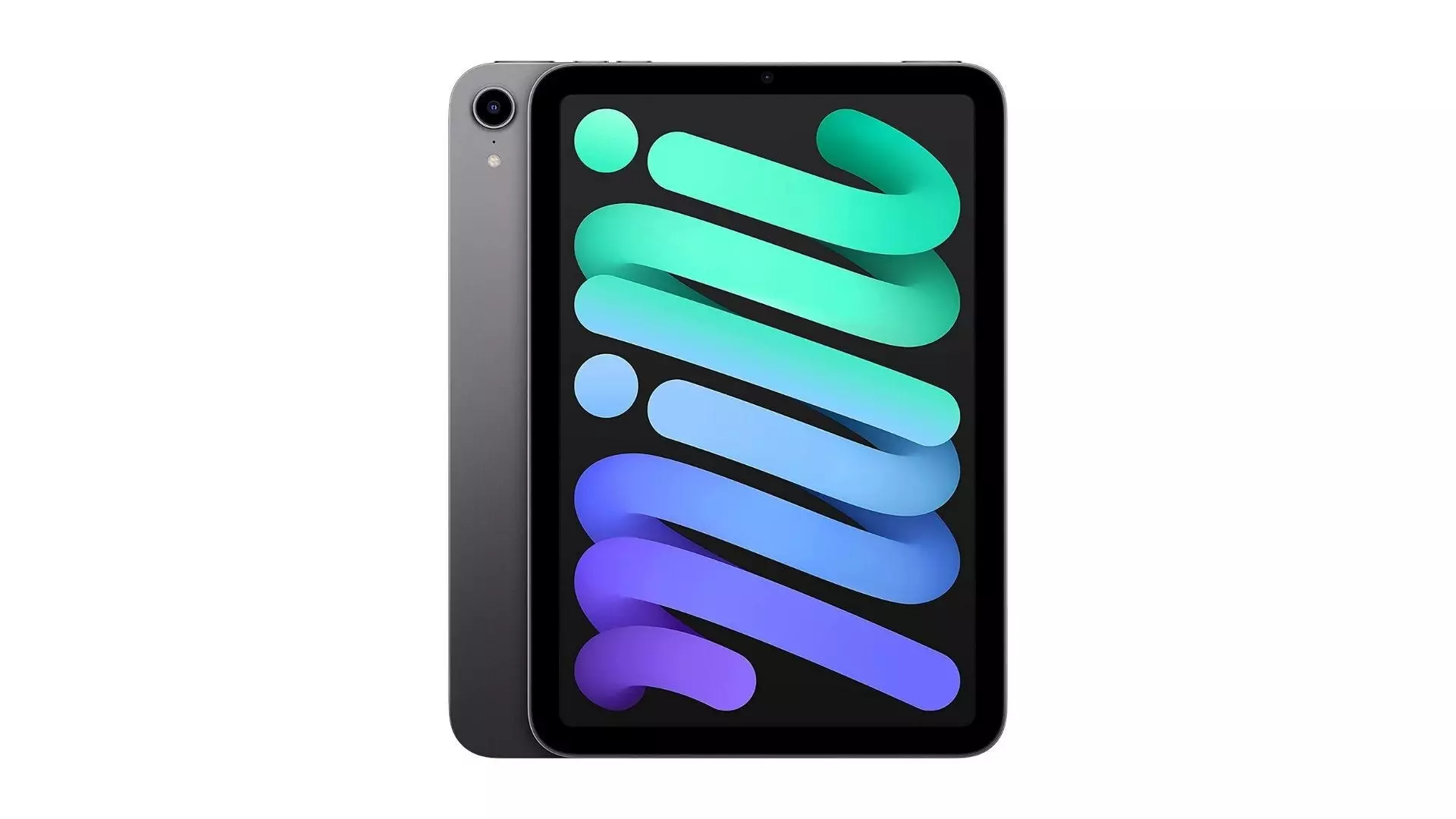 2021 Apple iPad Mini स्पेस ग्रे रंगात
