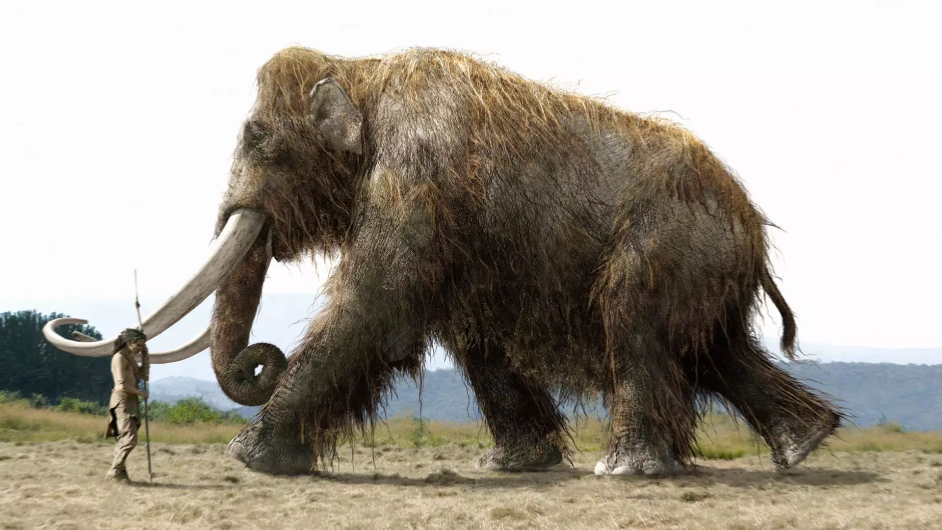 Forskere får 15 millioner dollar for å prøve å gjenopplive den ullaktige mammuten, men hvorfor?