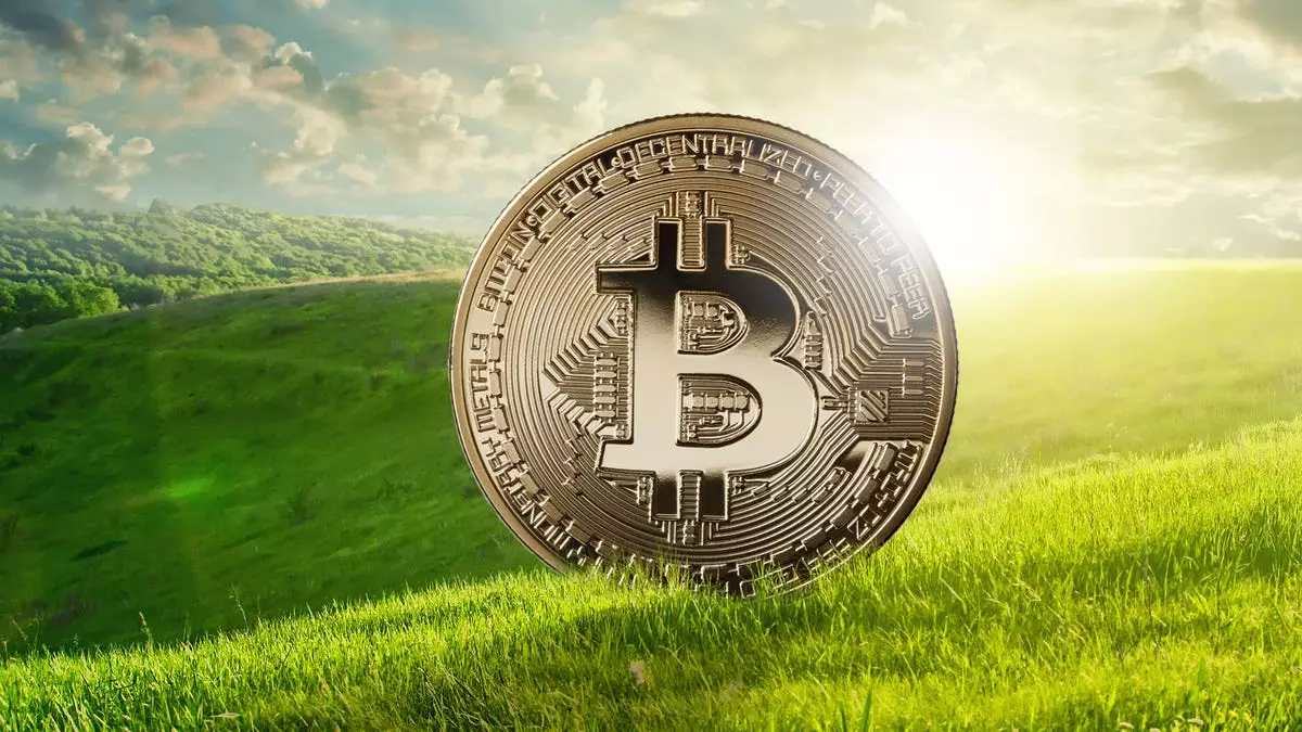 Eine physische Bitcoin-Münze, die in einem hügeligen Grasfeld steht.