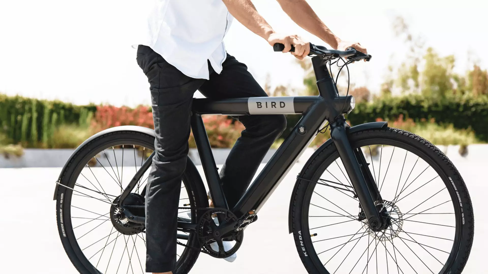 Agora você pode levar uma bicicleta elétrica de pássaro para casa sem roubá-la
