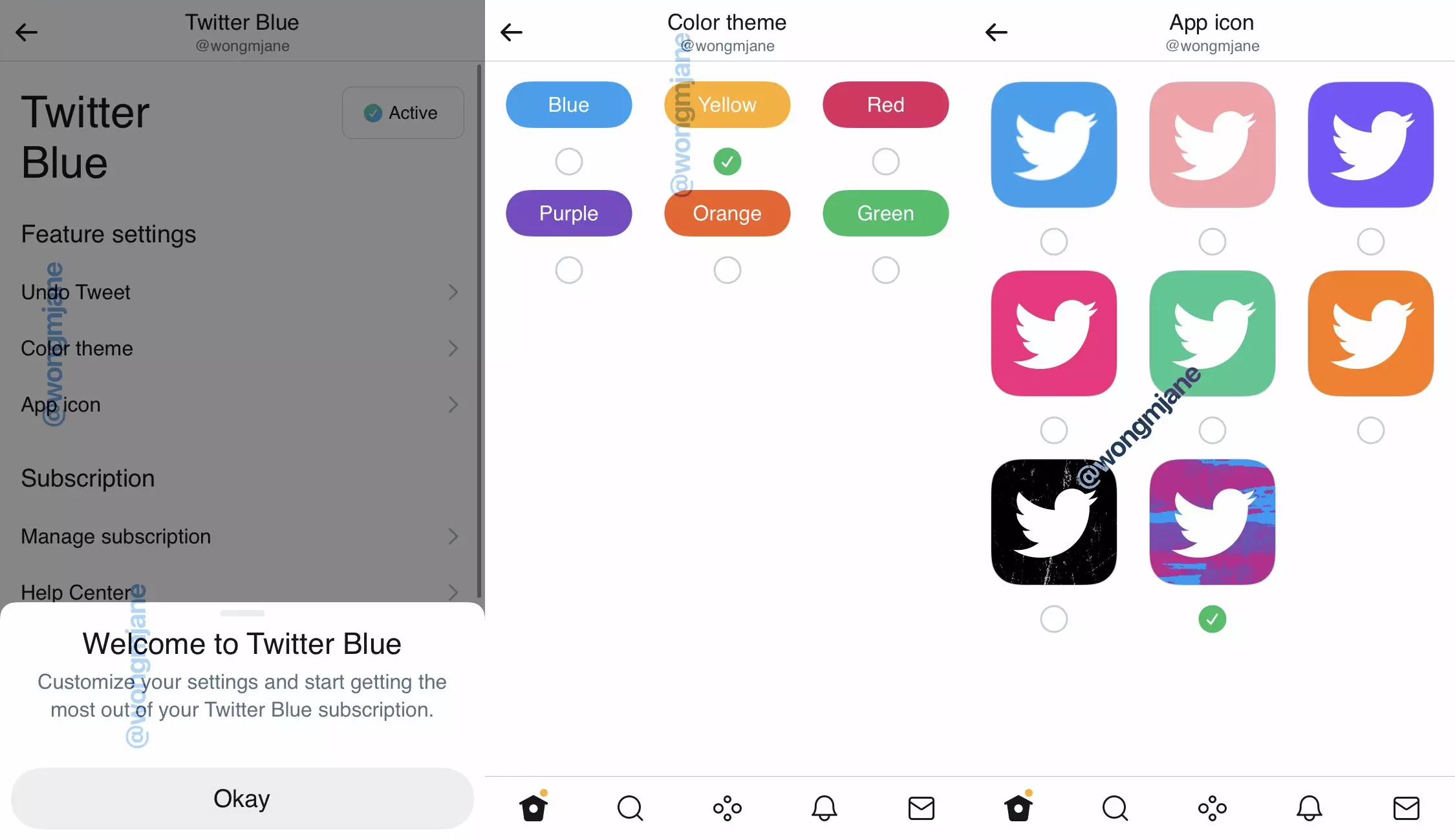 imagens dos recursos de personalização do Twitter Blue.