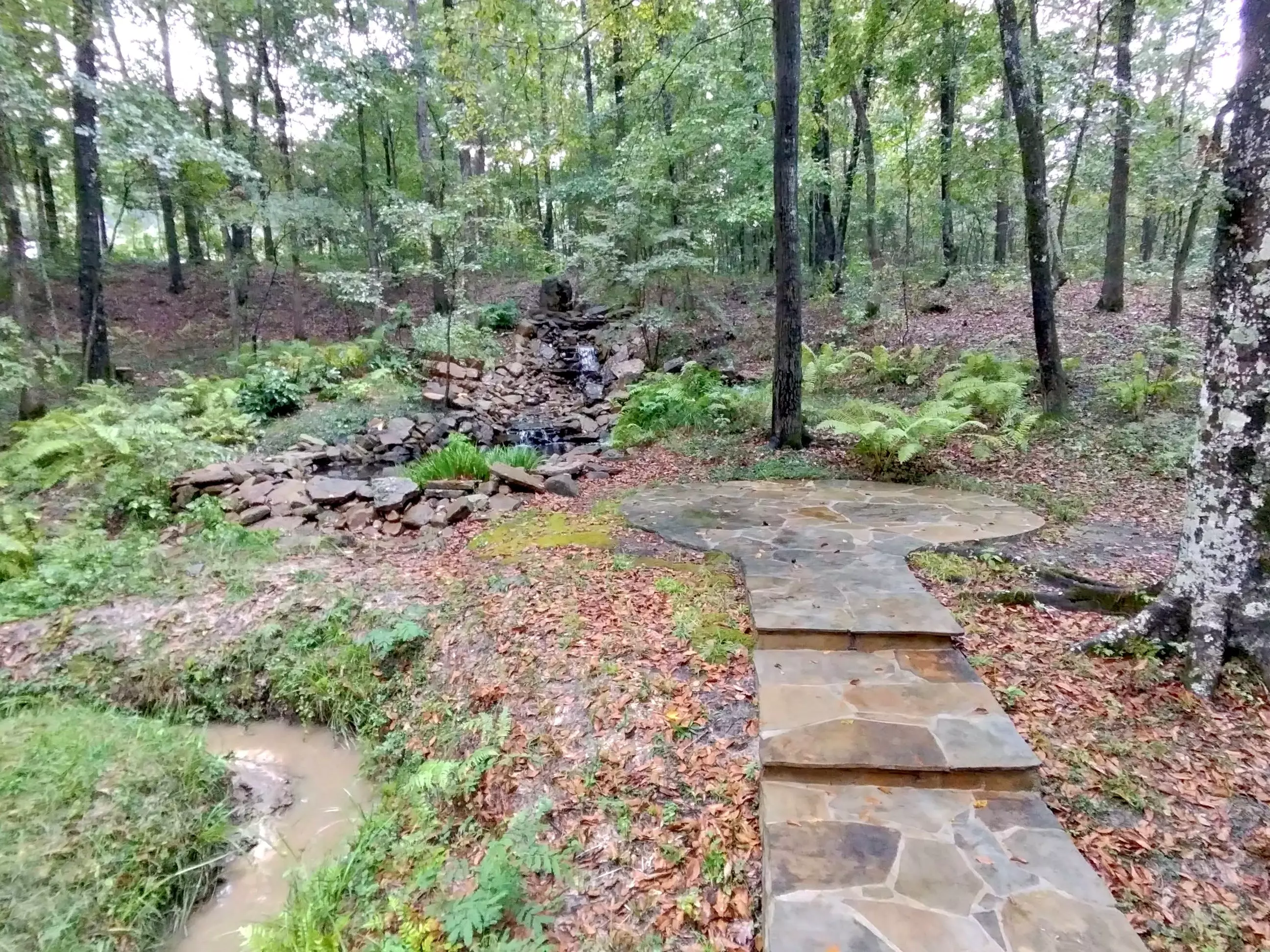 Uma passarela de pedra na floresta