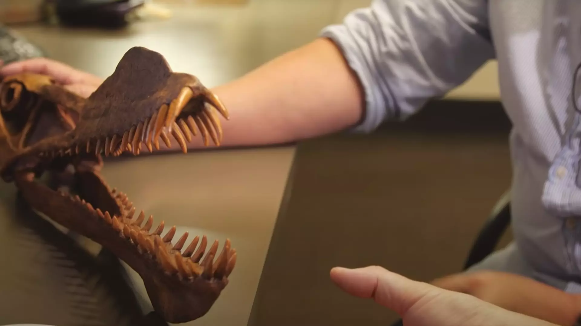 Leteči teror: v Avstraliji so izkopali fosil velikanskega krilatega plazilca