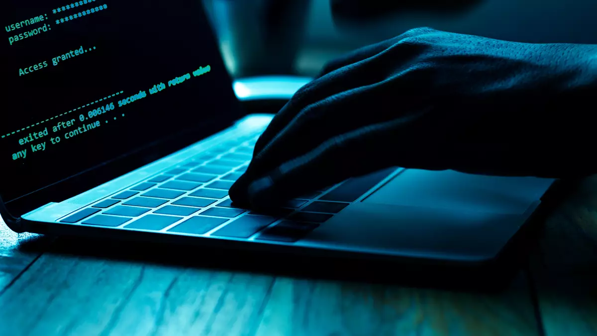 Un programmatore di computer o un hacker stampa un codice sulla tastiera di un laptop per accedere a file non autorizzati