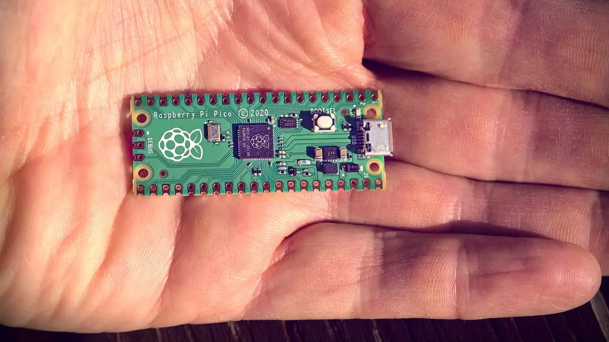 一個 Raspberry Pi 零在手掌中。