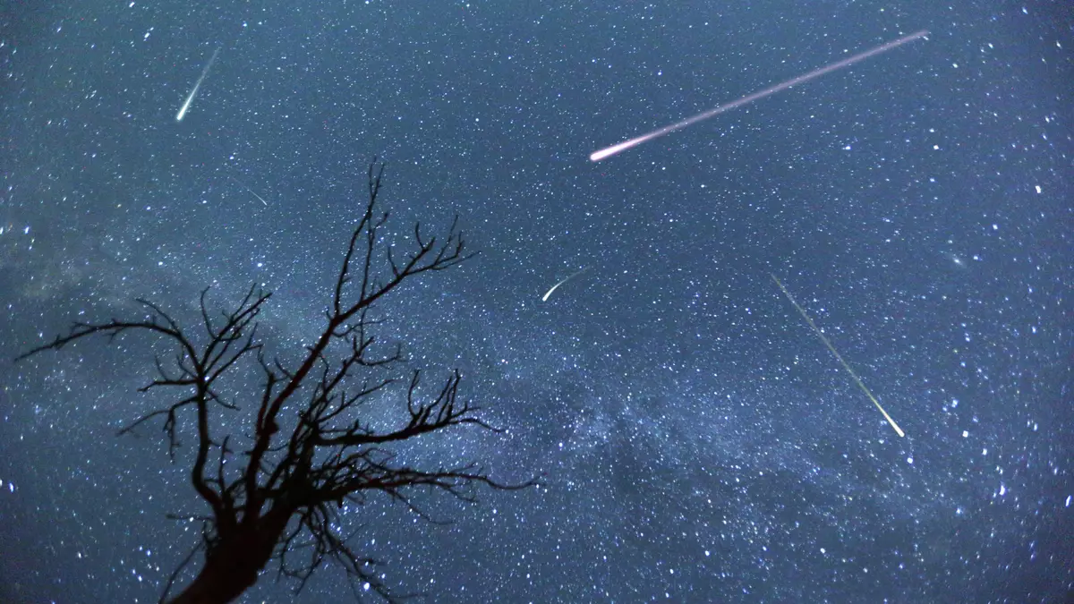 Composietbeeld van vallende sterren met een silhouet van een kleine boom tijdens de Perseïden-meteorenregen van 2015