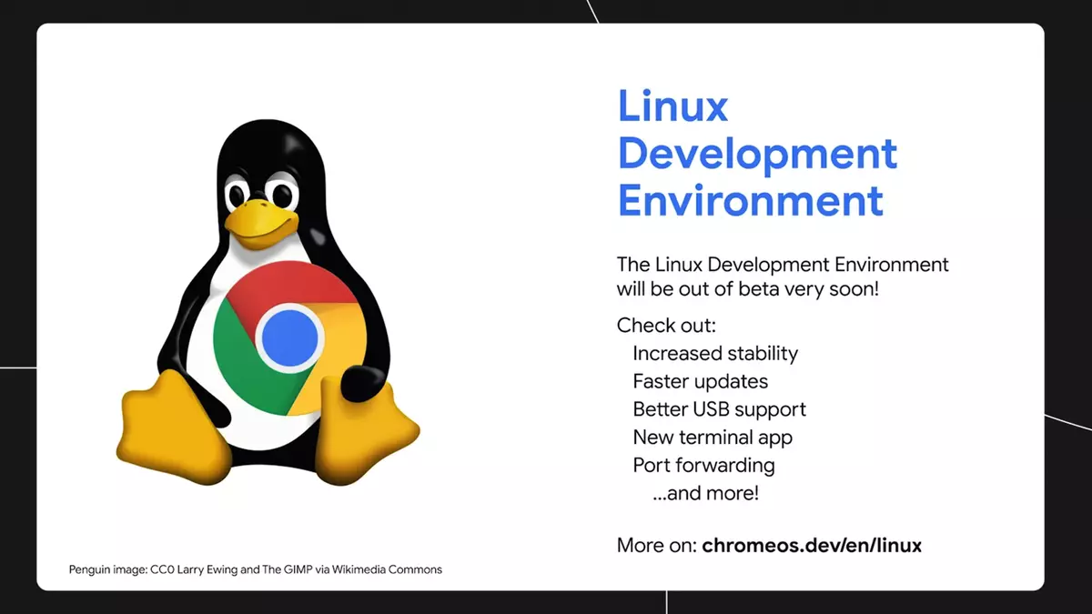 Chrome OS жүйесіндегі Linux Development Enviorment күйін сипаттайтын баннер.