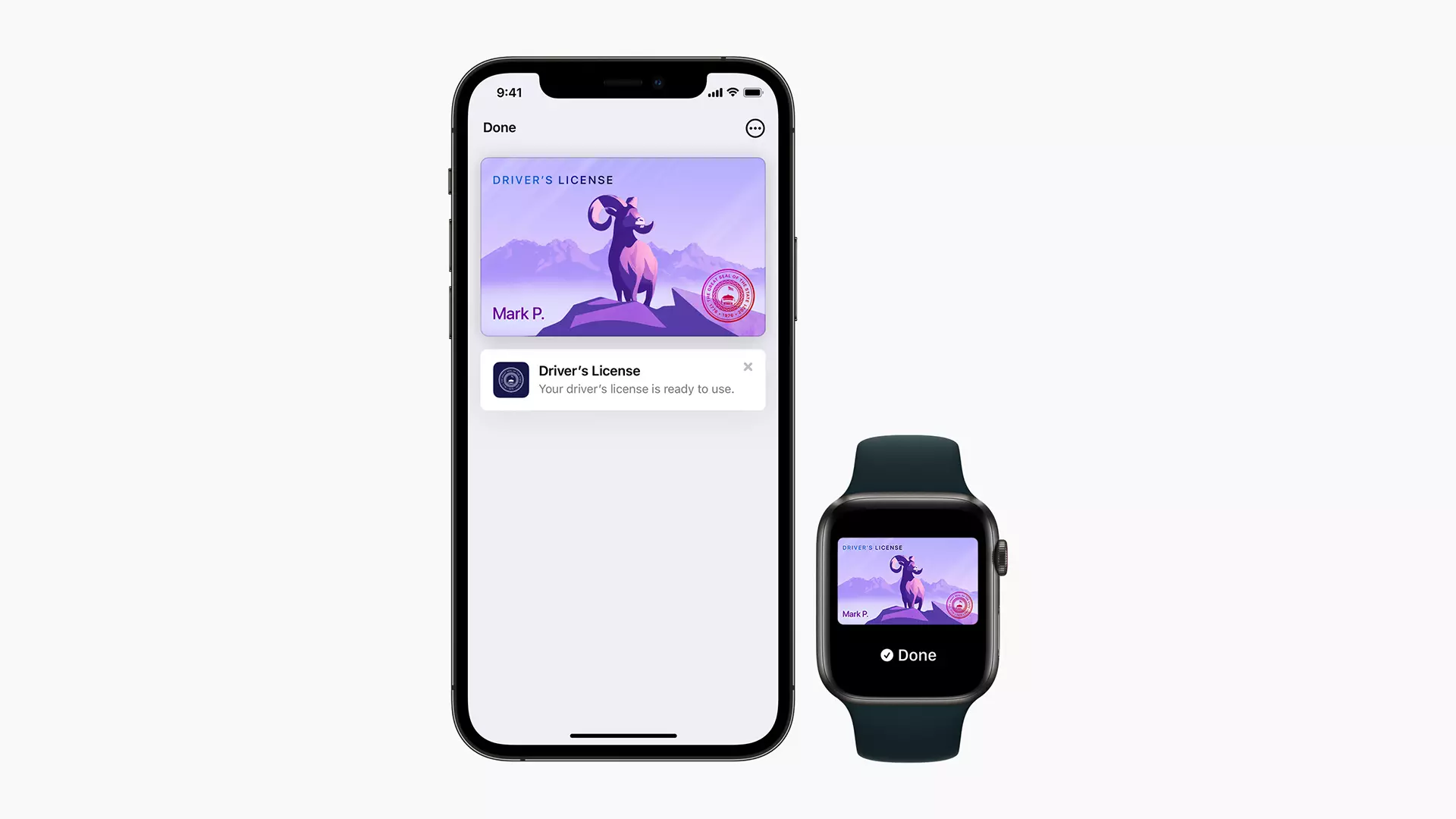 Isang lisensya sa pagmamaneho sa isang iPhone at Apple Watch.