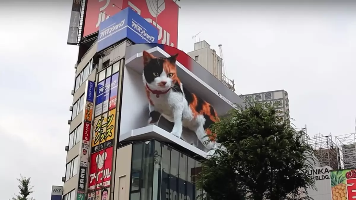 O cartaz de gato 3D em Tóquio.