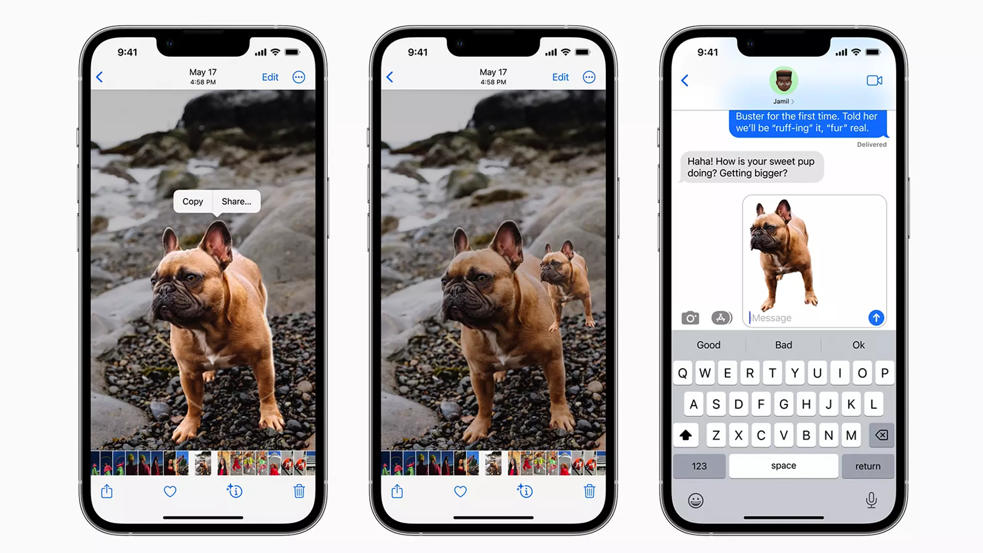 Menggunakan Visual Lookup untuk memotong foto anjing dari latar belakang dan membagikannya dalam pesan.