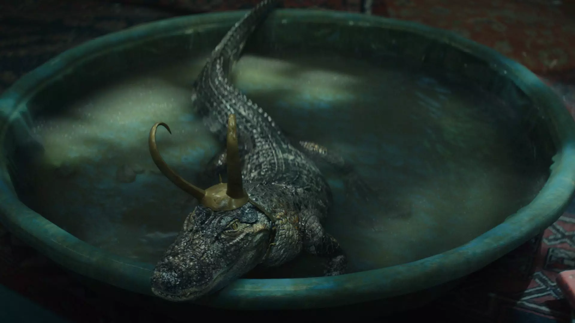 Een Alligator Loki