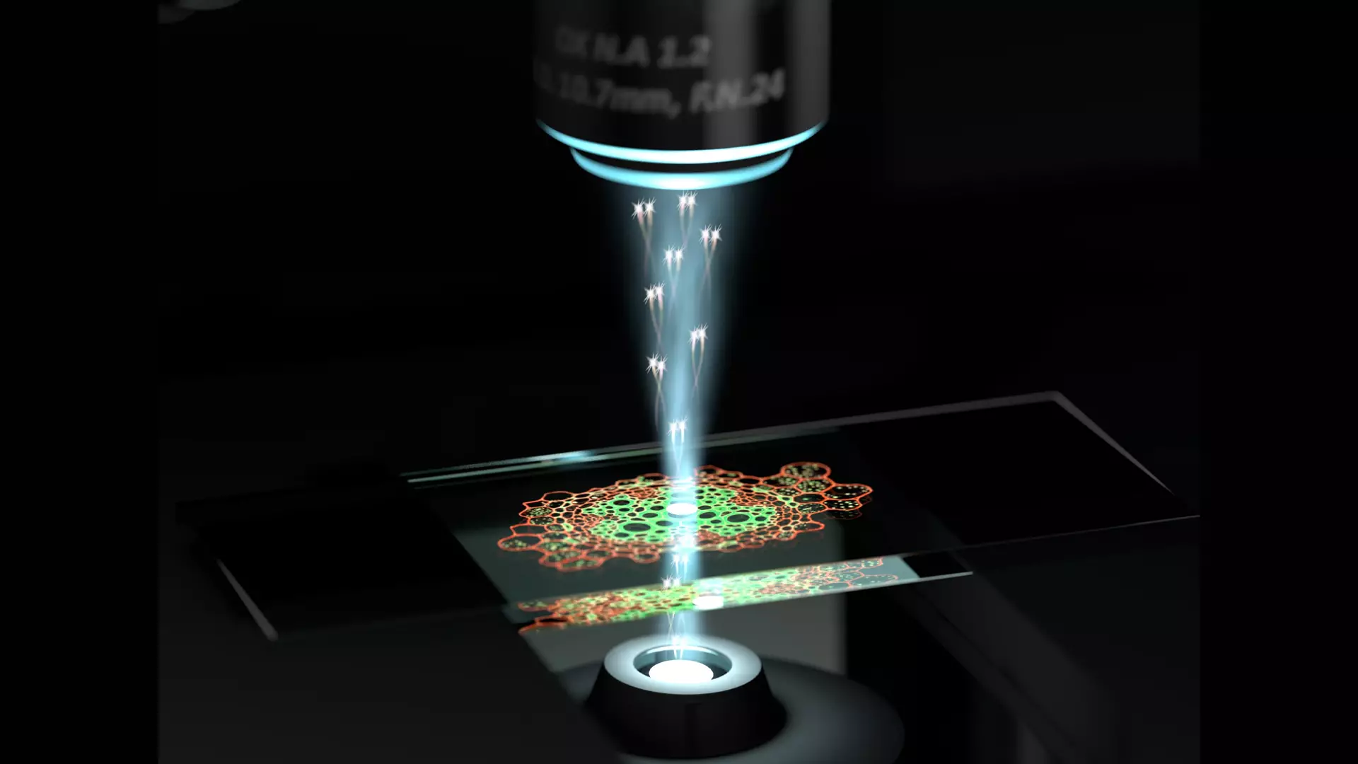 První kvantový mikroskop odhaluje dříve neviditelné buněčné struktury