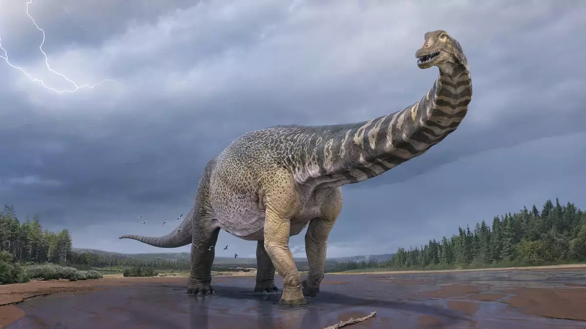 Cooper, największy australijski dinozaur.