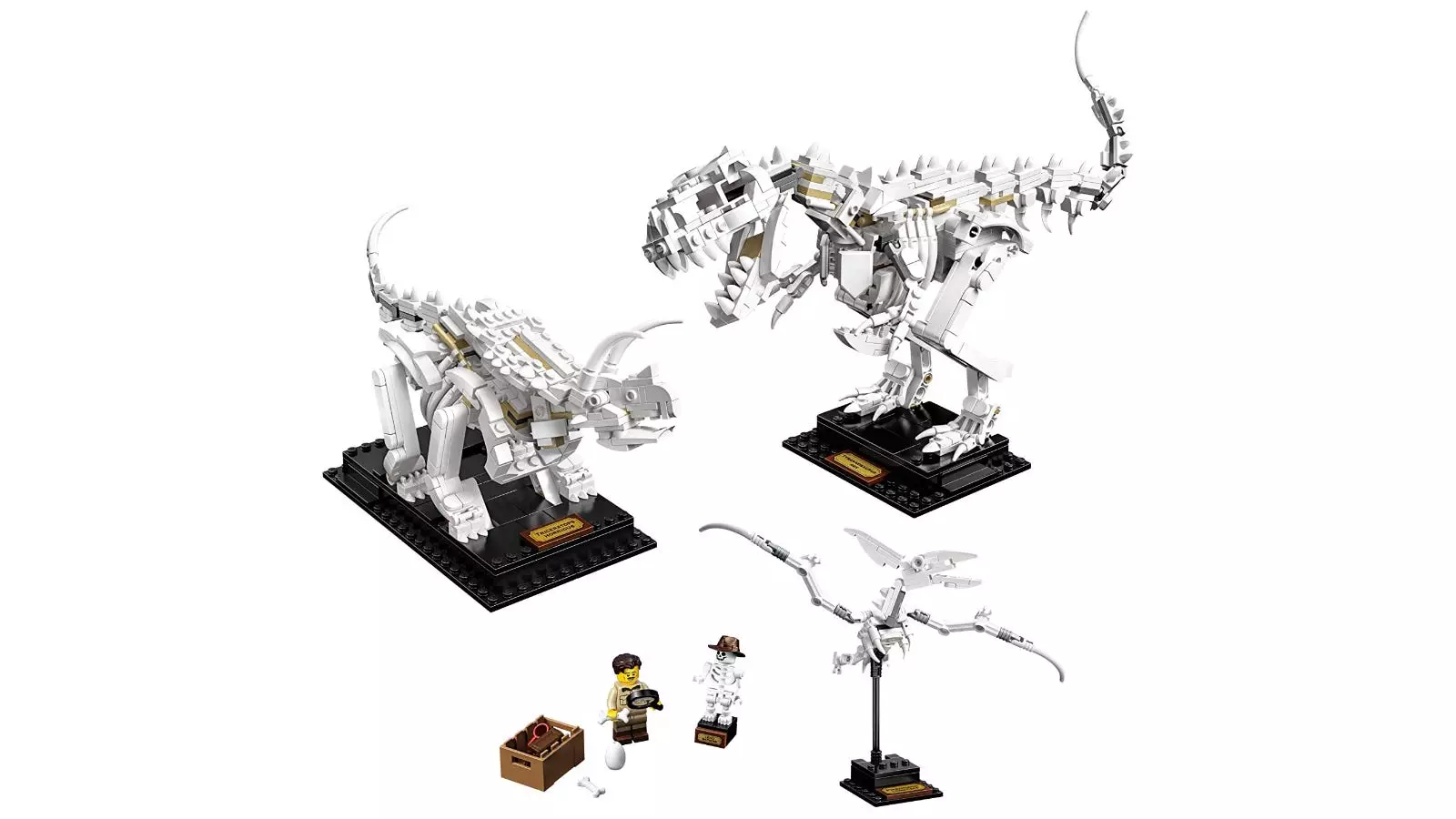 Set Fosil Dinosaurus Ide LEGO