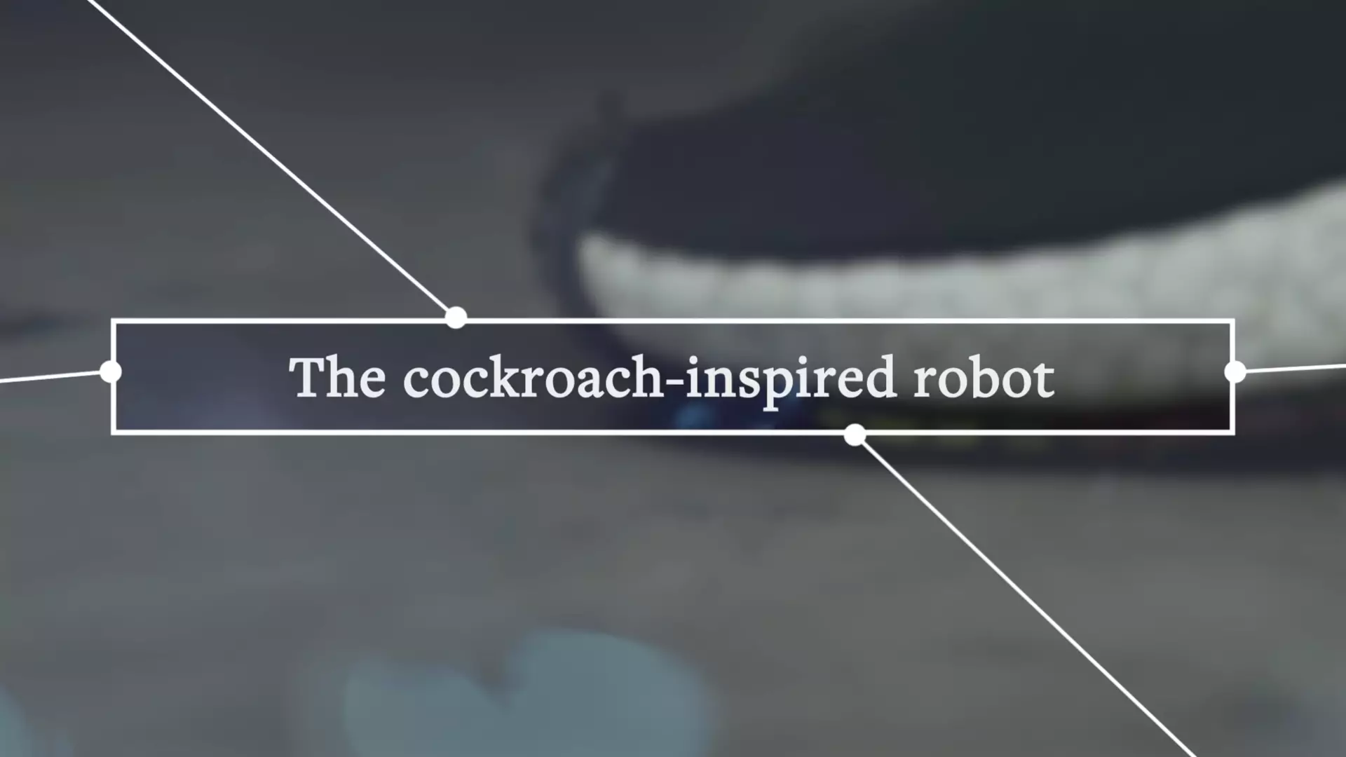 A Ṣe Lo Robot Bi Cockroach yii lati Ṣewadii Awọn aaye Ajalu