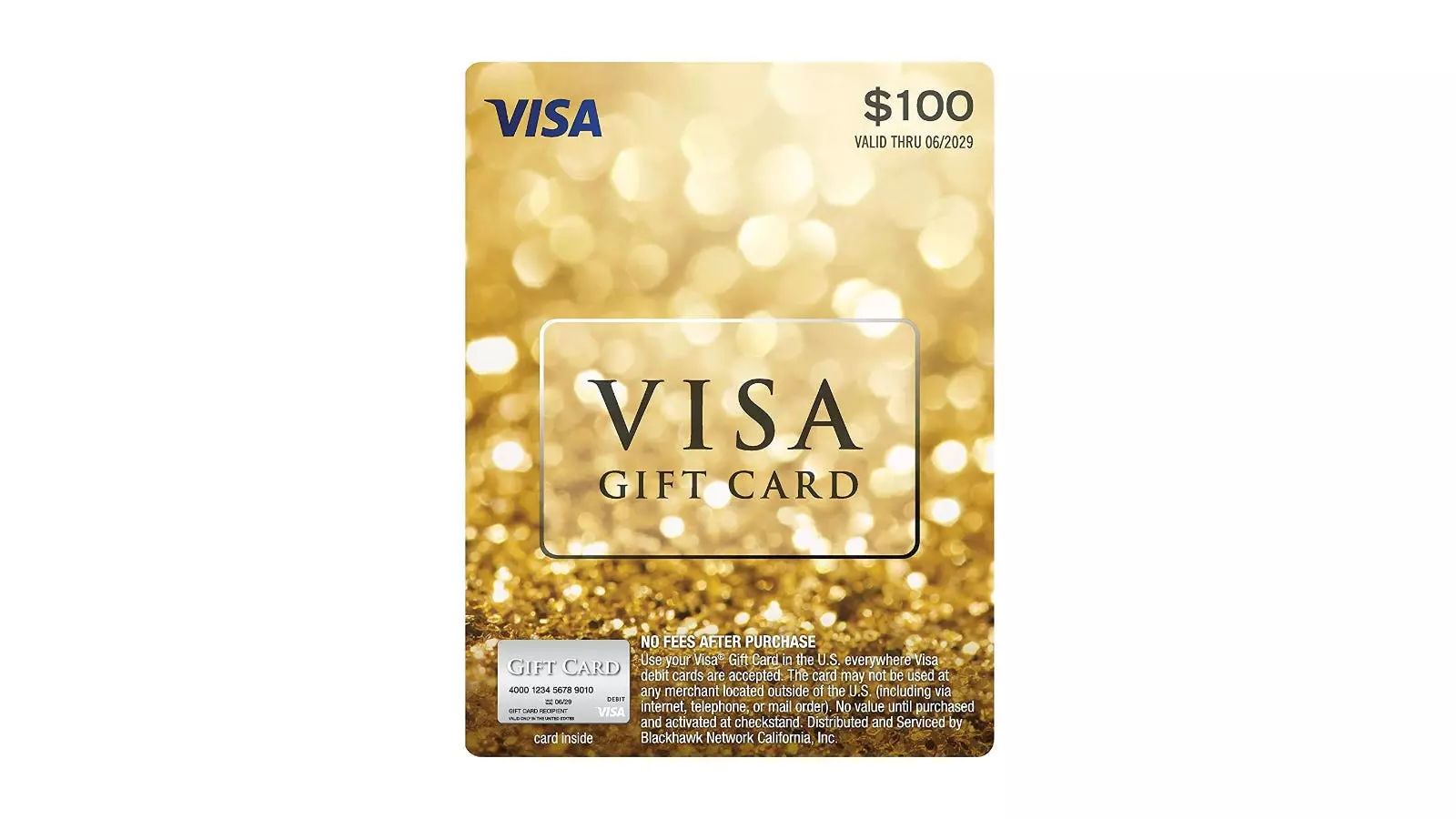 Carte-cadeau Visa de 100 $