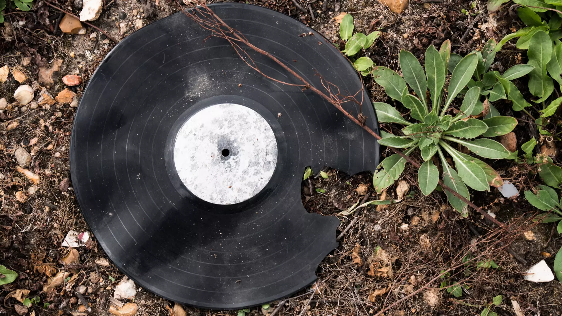 Rozbitá vinylová platňa v poli. Čiastočne rozbitý vinyl nájdený na divokej skládke na predmestí Paríža neďaleko Poissy.